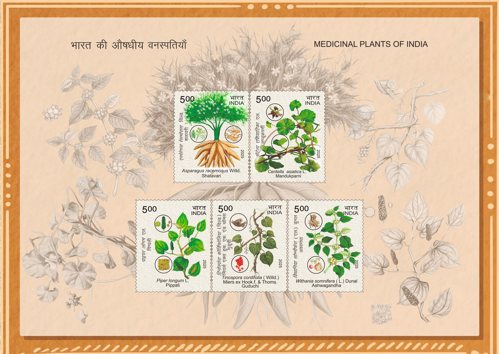 Medicinal Plants of India - The Philatelist